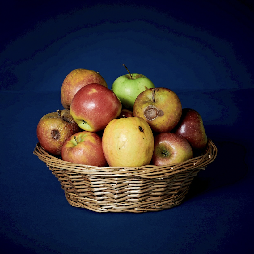 (Nederlands) Grote verschillen in lobbyregels bij provincies – Open ...